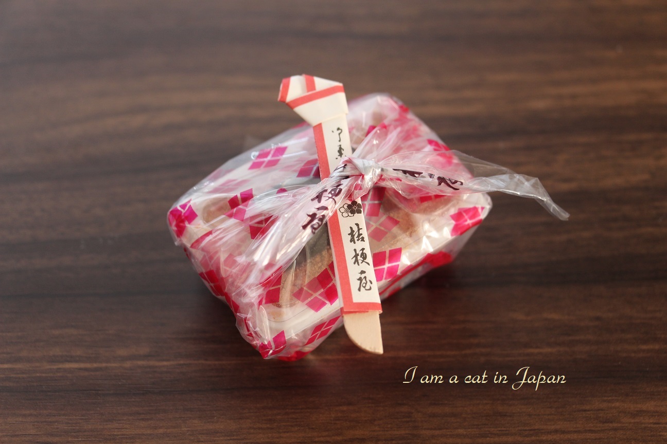 Yamanashi’s souvenir confectionery Shingen Mochi | I am a cat in Japan