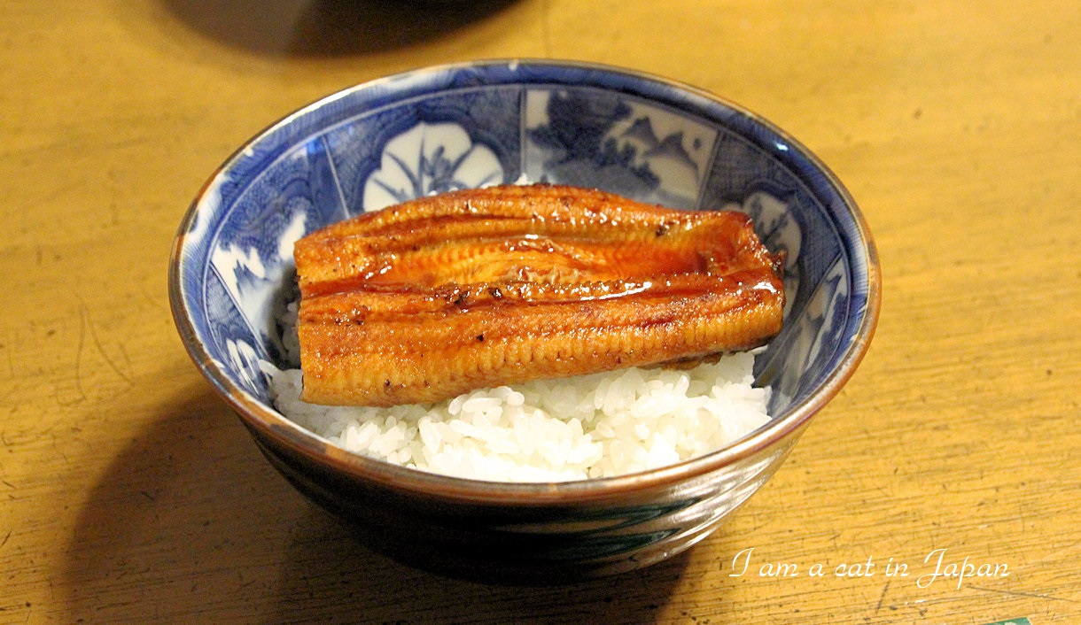 Unadon and the Midsummer Day of the Ox | I am a cat in Japan